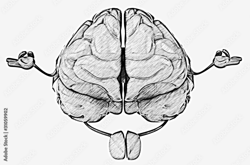 cerveau-zen-illustration-stock-adobe-stock