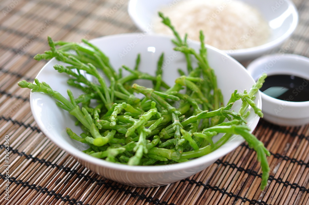 Meeresalgen Stock-Foto | Adobe Stock