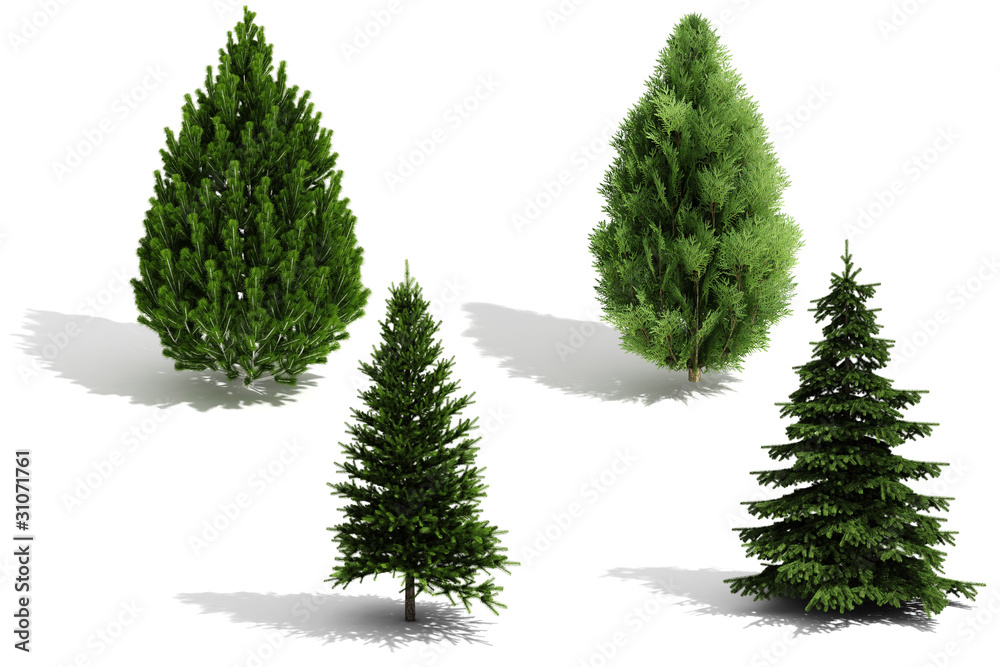 3d tree pack - render on white background Stock Photo | Adobe Stock