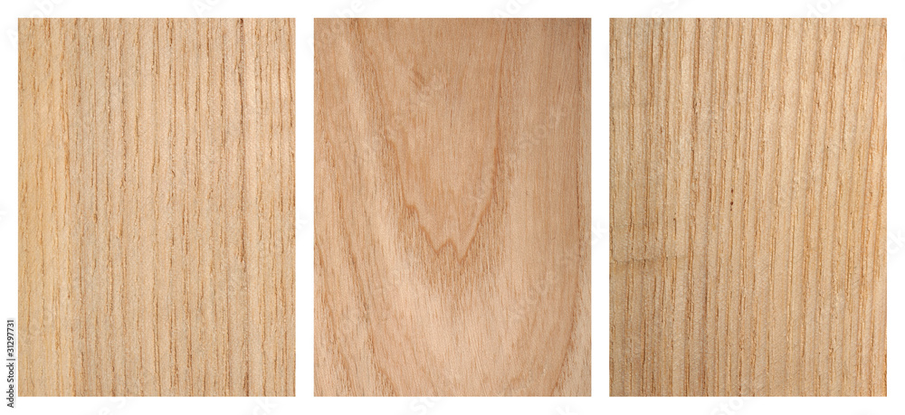 Ash Tree Wood Texture Stock Photo | Adobe Stock Ash Tree Wood Texture Stock Photo | Adobe Stock