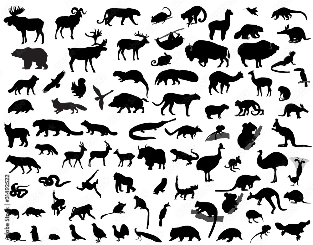 silhouettes of animals Stock Vector | Adobe Stock