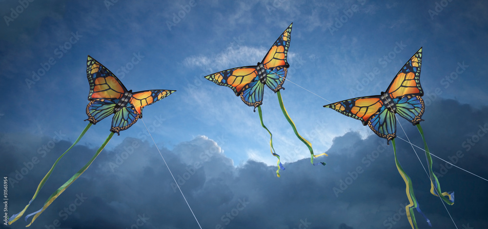 Kites Stock Photo | Adobe Stock