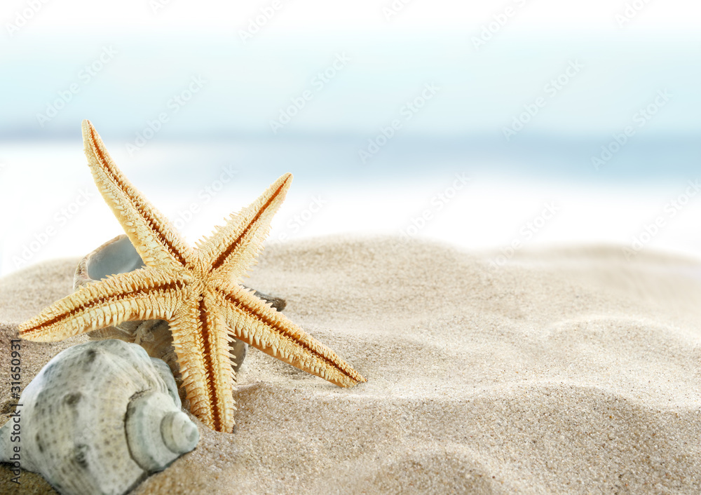 Starfish on the Beach Stock Photo | Adobe Stock