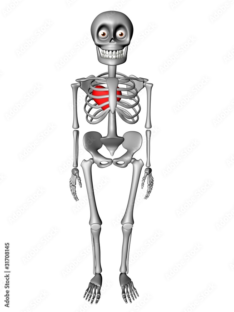 Cute human body skeleton with red heart Stock Illustration | Adobe Stock