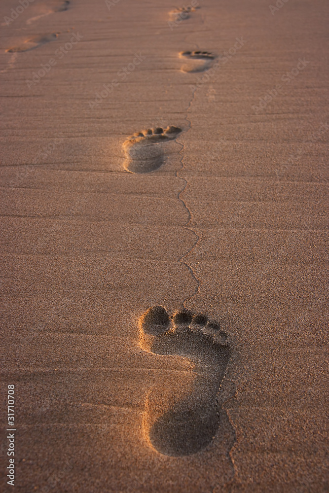 Footprints. Stock Photo | Adobe Stock