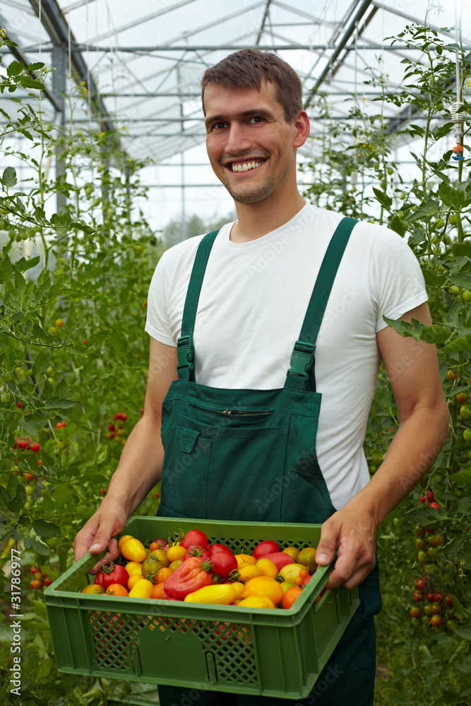 Bauer mit Tomatenkiste Stock Photo | Adobe Stock