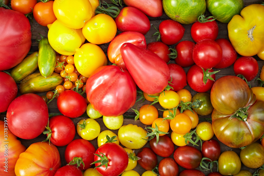 Unterschiedliche Tomatensorten Stock Photo | Adobe Stock