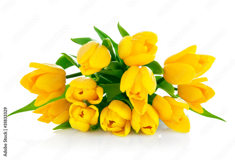 yellow tulip flowers bouquet Stock Photo | Adobe Stock