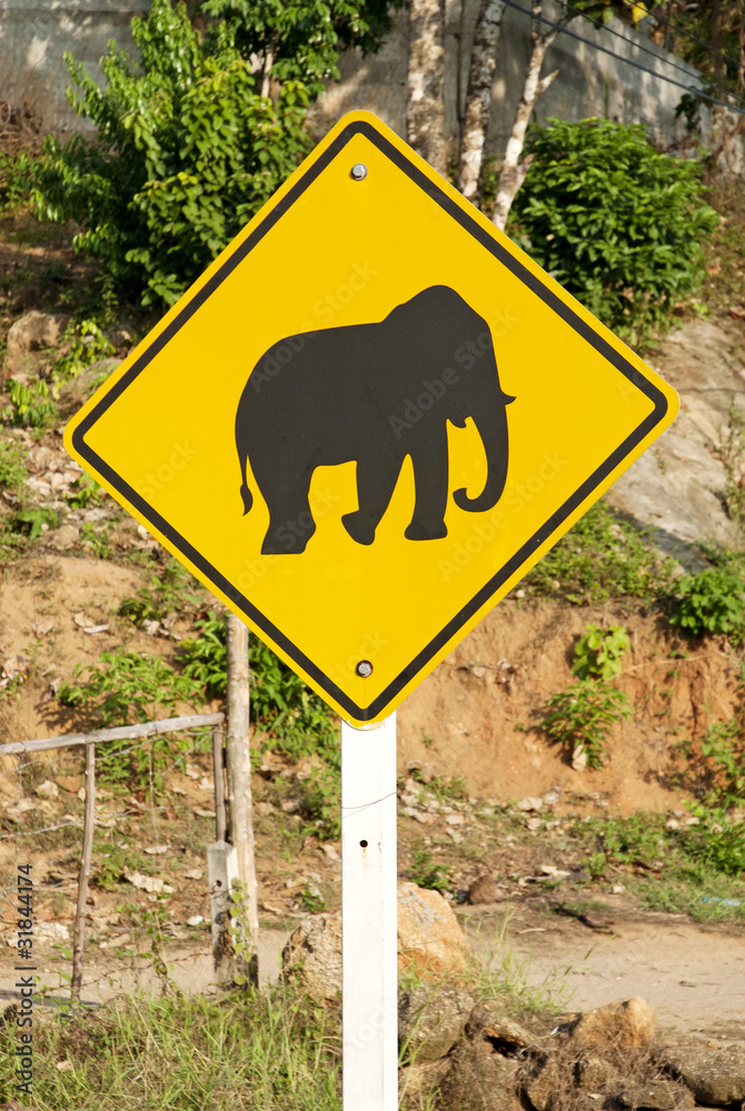 elephant crossing road sign in thailand Stock Photo | Adobe Stock