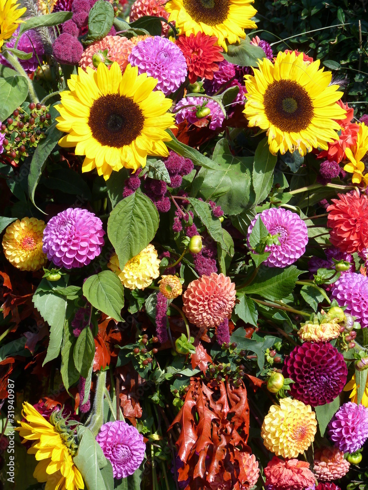 Blumen-Arrangement Stock Photo | Adobe Stock