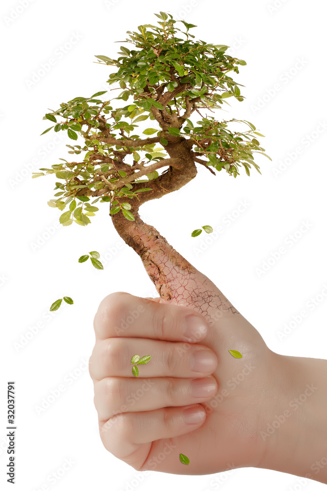 Foto Stock Pollice Verde (Giardinaggio) | Adobe Stock