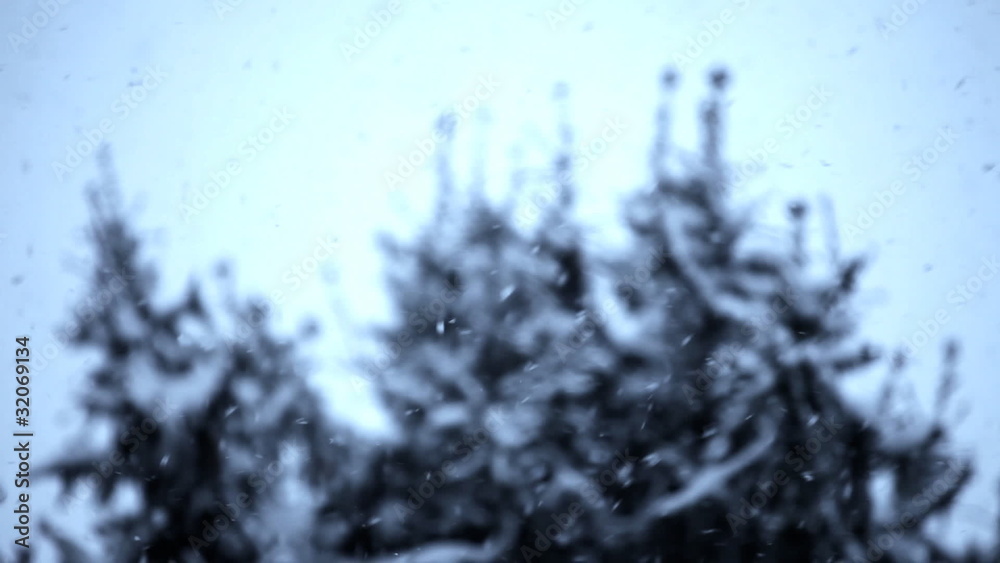 Winter scene with snow falling Stock Video | Adobe Stock