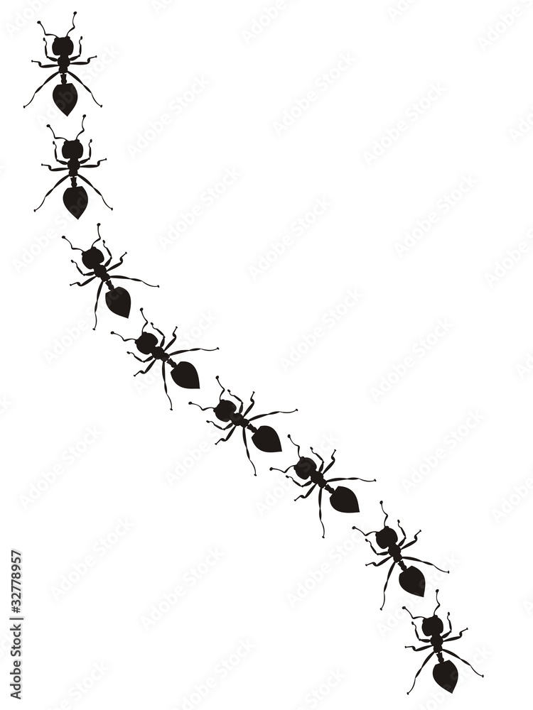 Hormigas Stock Vector | Adobe Stock