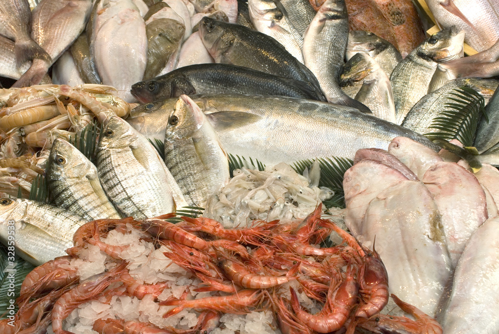 pesci vari Stock Photo | Adobe Stock