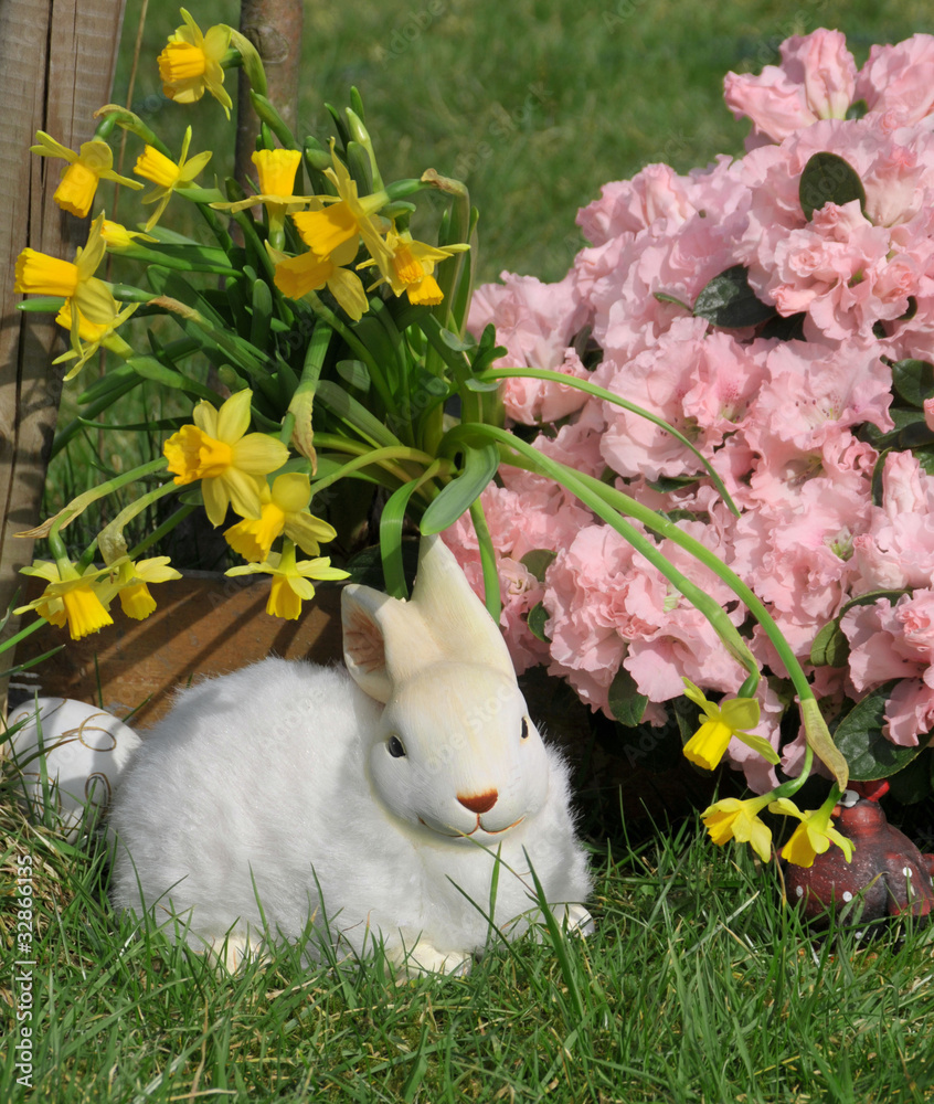 Ostern Stock Photo | Adobe Stock