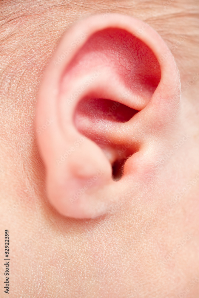Ohr eines Baby Stock Photo | Adobe Stock