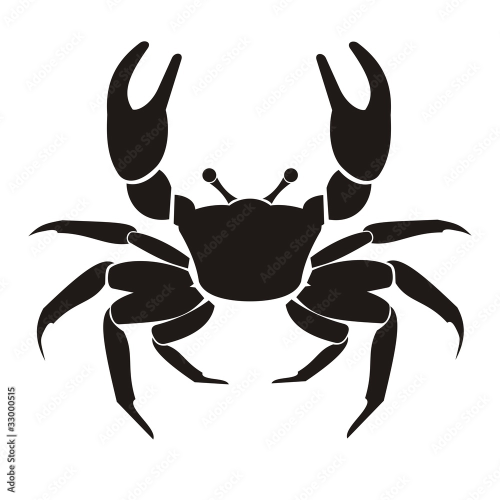 Cangrejo vector de Stock | Adobe Stock