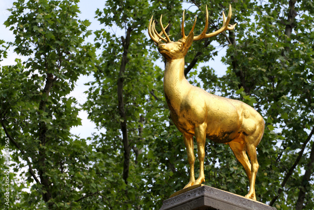 Hirschbrunnen / Goldener Hirsch Stock Photo | Adobe Stock