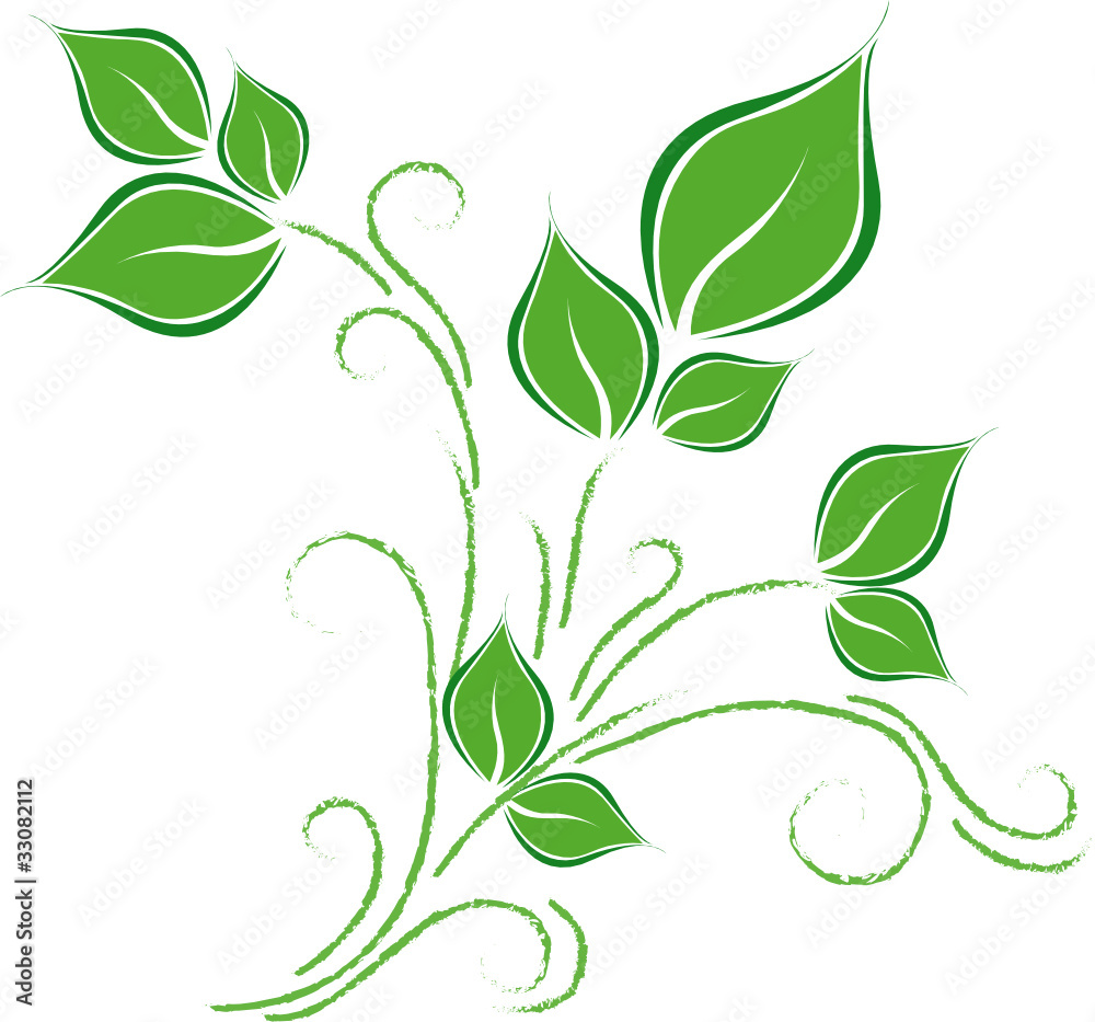 ranke grüne blätter Stock-Vektorgrafik | Adobe Stock