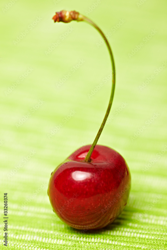 Reife Kirsche mit Stiel Stock Photo | Adobe Stock