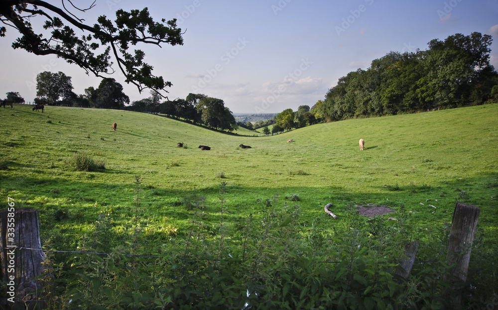 Beautiful image of typical English countryside landscpae with ca Stock ...