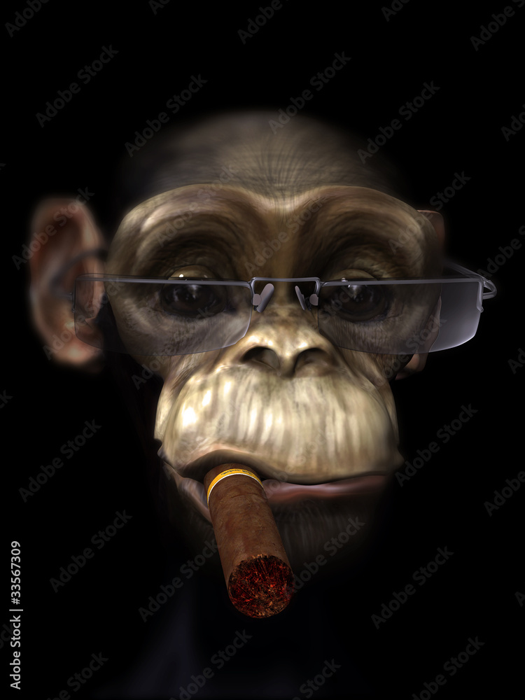 Mr Chimp the Pimp Stock Illustration | Adobe Stock
