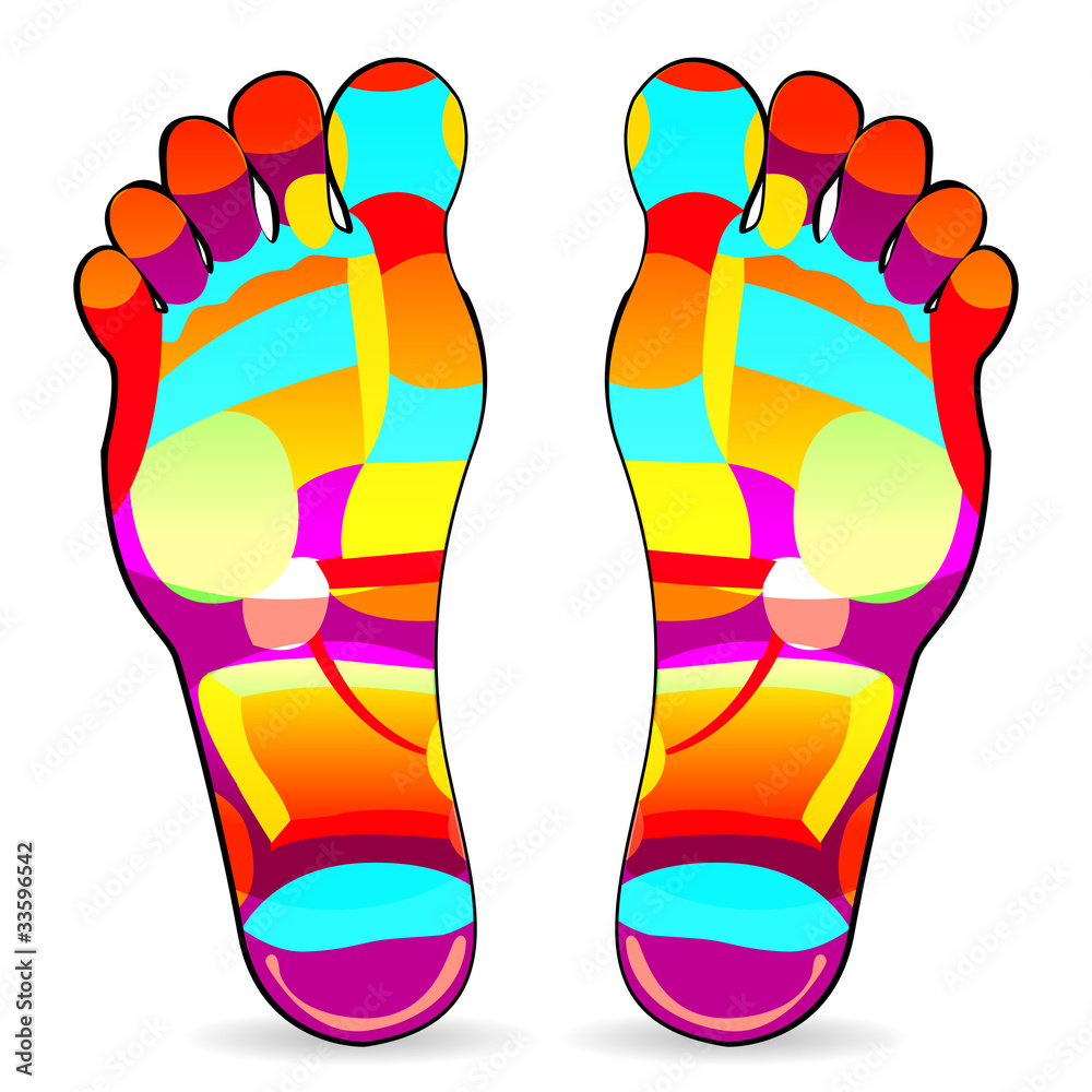 Thai foot massage chart isolated on white background Stock Vector ...