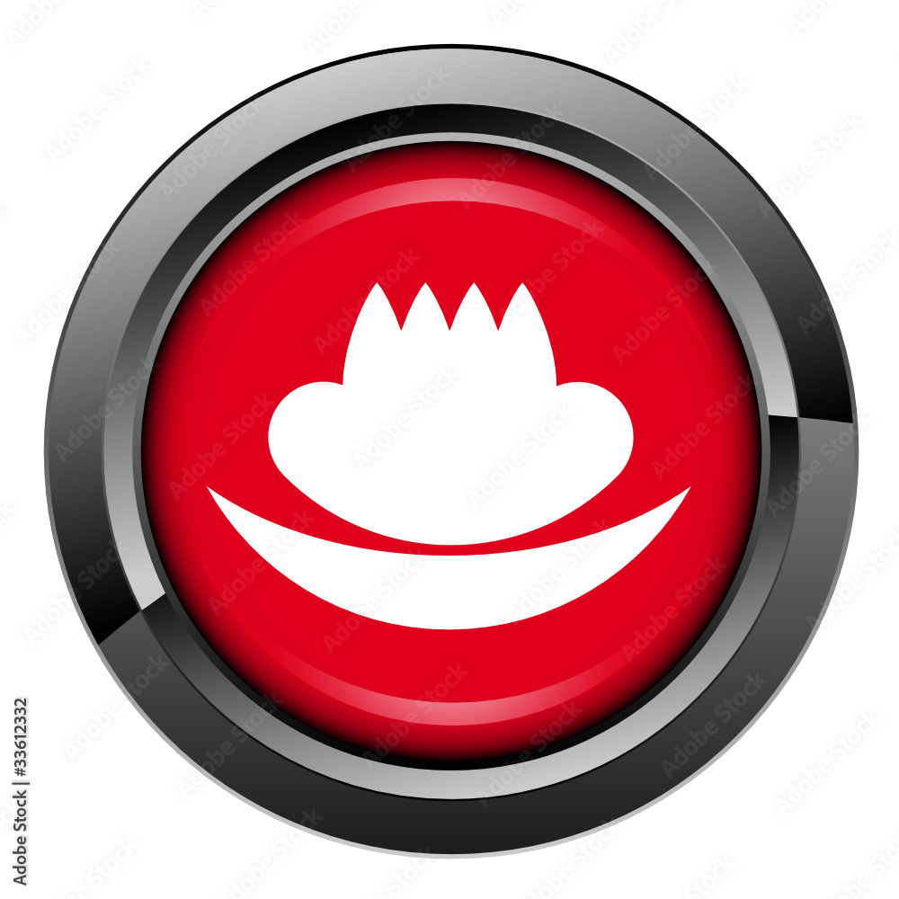 Picto, internet, bouton, marque, identité visuelle, charte Stock Vector ...