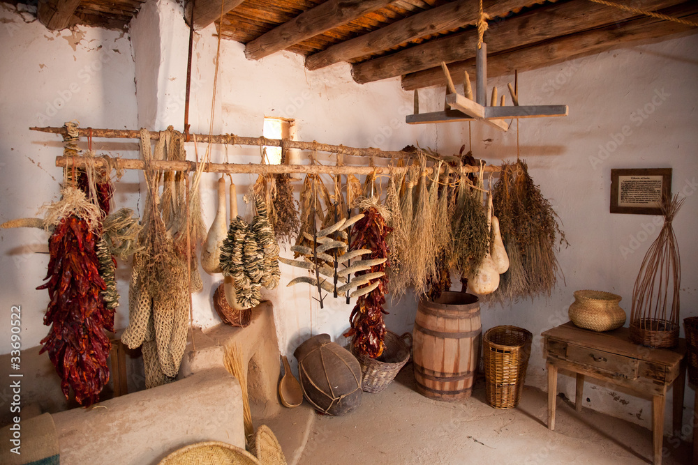 Variety of Plants Air Drying Stock Photo | Adobe Stock