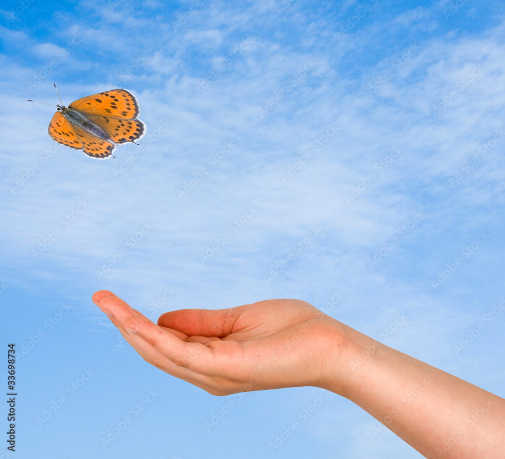 Butterflies Flying Out Of Hands
