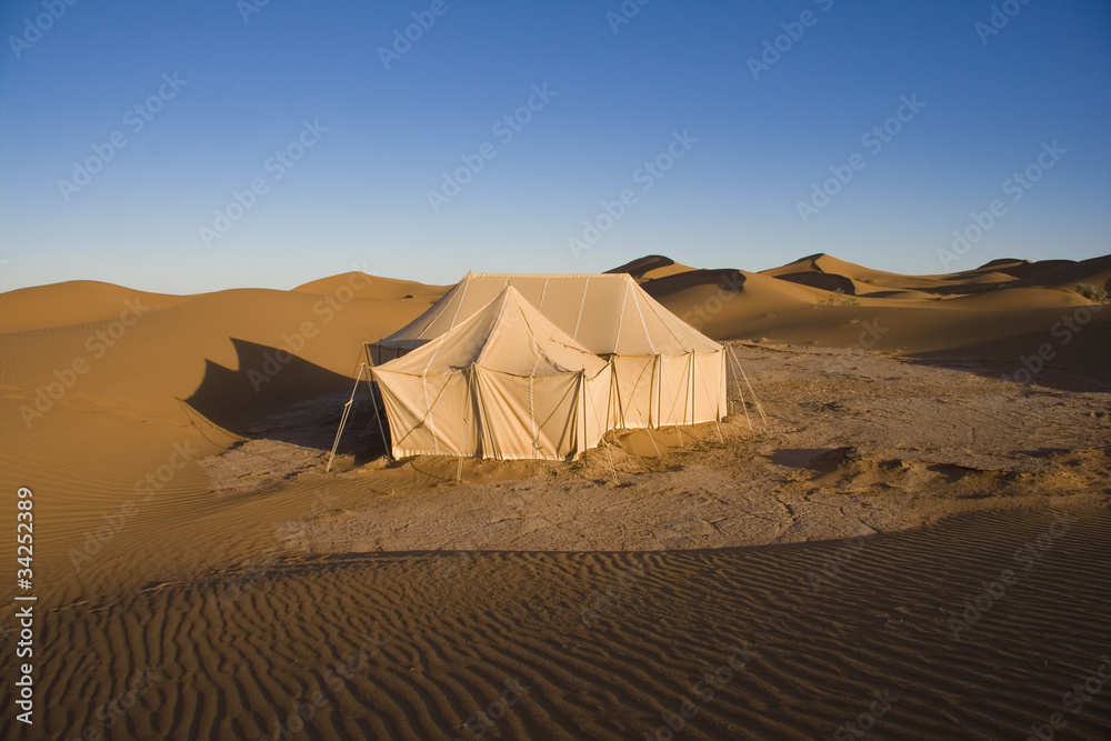 CAMPO TENDATO NEL DESERTO Stock Photo | Adobe Stock