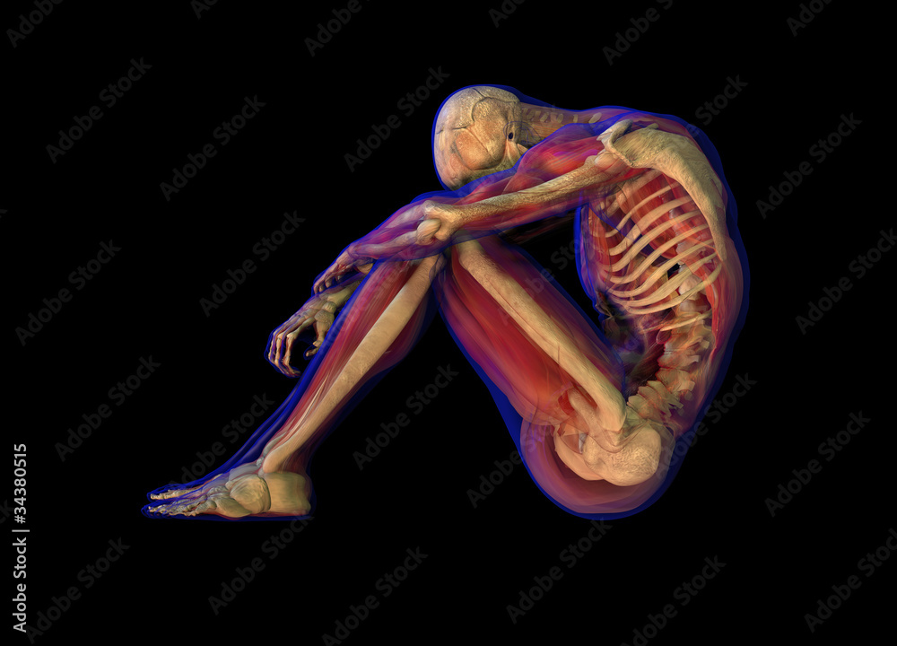 X-ray illustration of Human anatomy and skeleton Stock Illustration ...