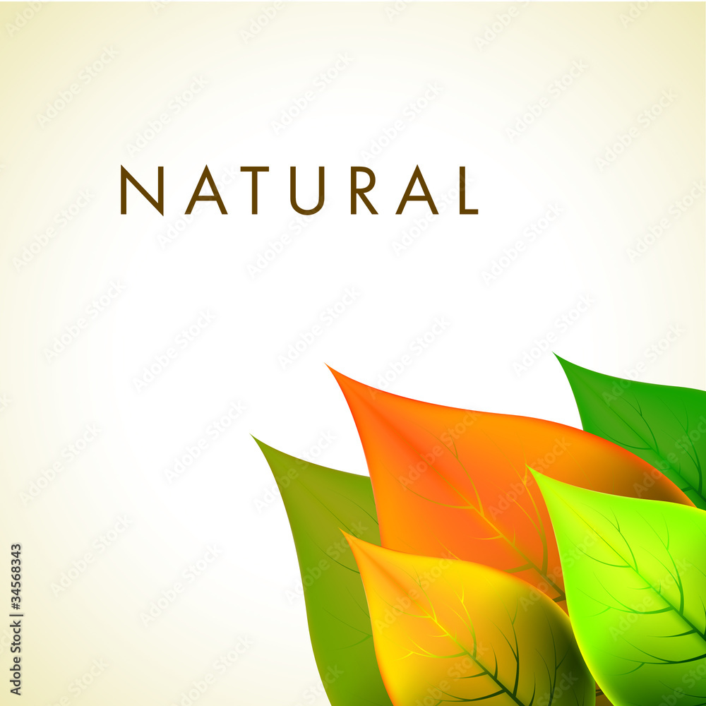Vector Natural Design Stock Vector | Adobe Stock