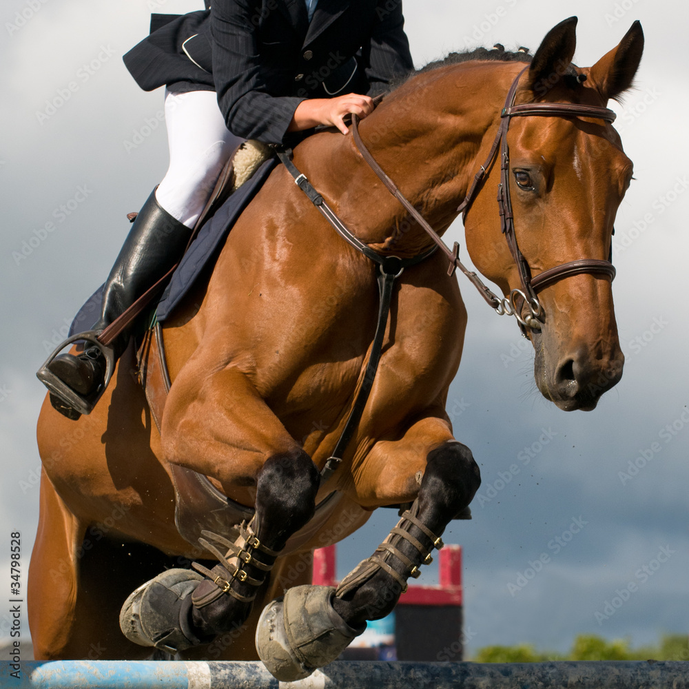 jumping Stock Photo | Adobe Stock