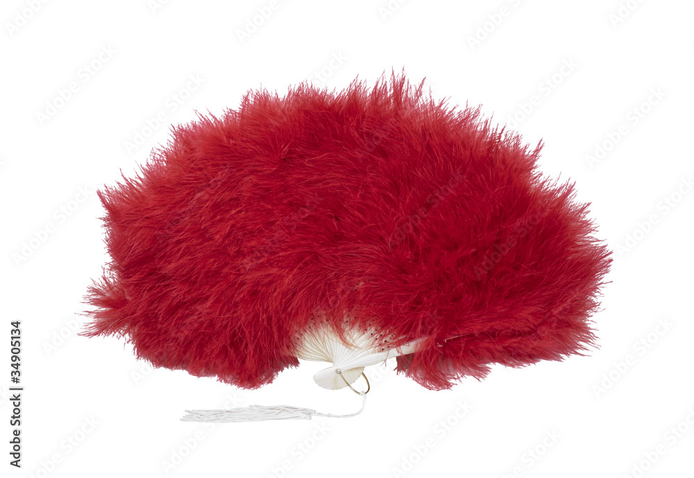 Red Feather fan Stock Photo | Adobe Stock