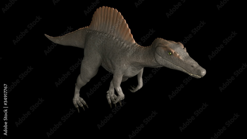 Looping Dinosaur Spinosaurus Animation. isolated, alpha Stock Video ...