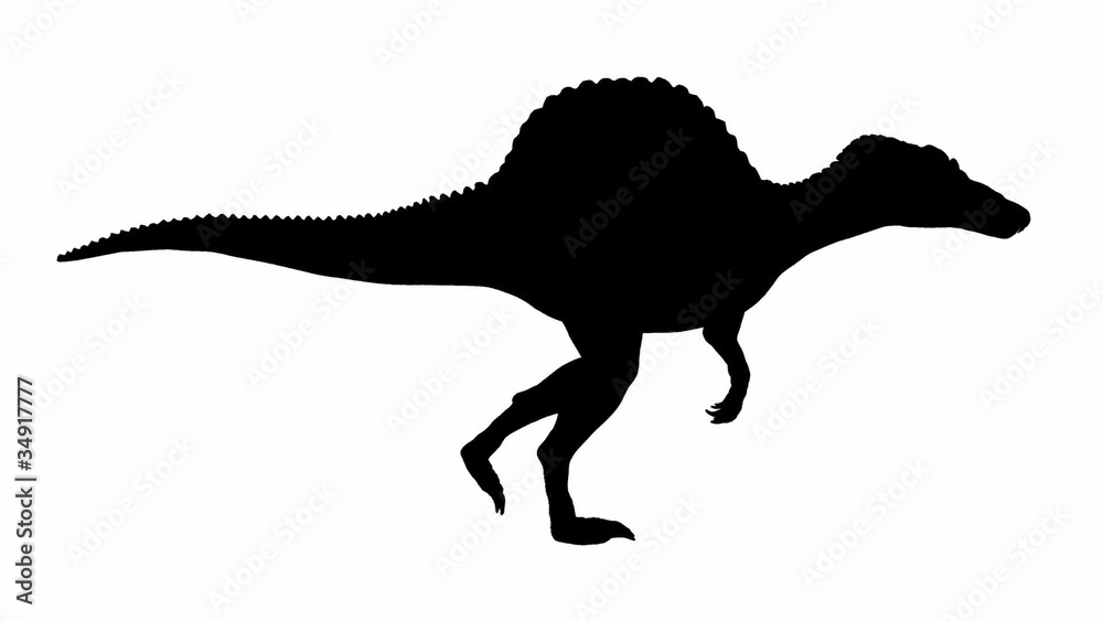Looping Dinosaur Spinosaurus Animation. isolate Stock Video | Adobe Stock