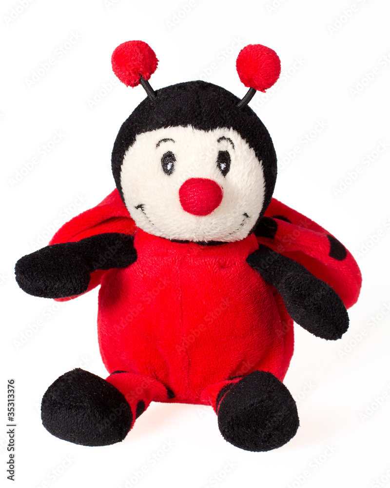 Ladybug smiling sitting over white background. Plush toy isolate Stock ...