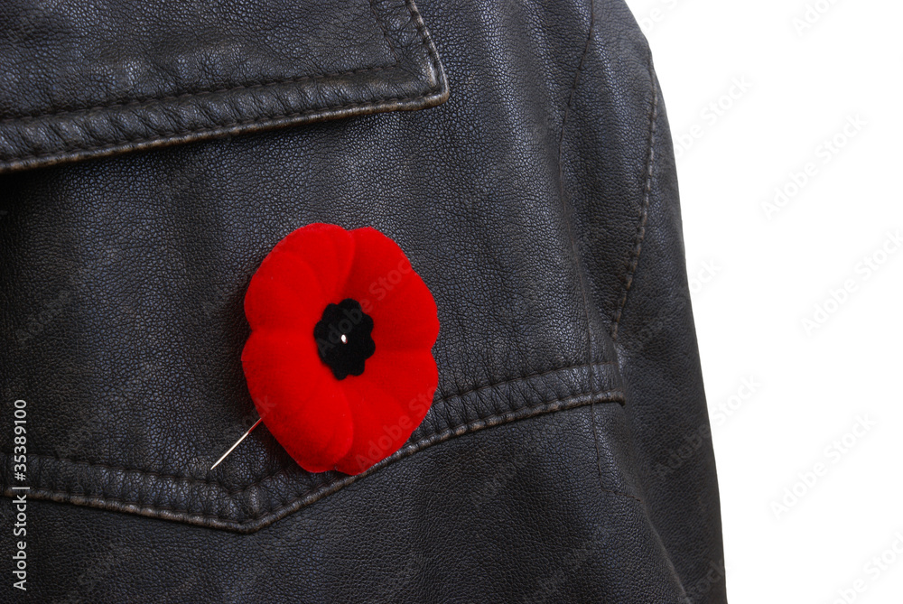 Wearing a Poppy Stock Photo | Adobe Stock