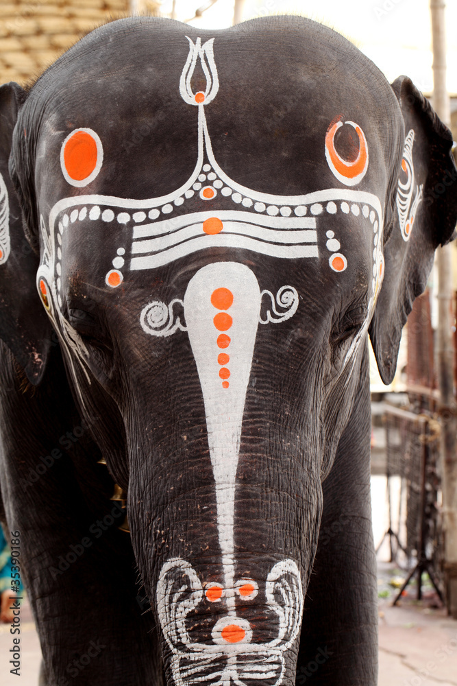 Decorated Indian Elephants Wallpaper