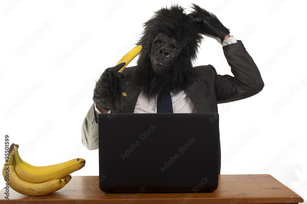Confused Monkey Computer