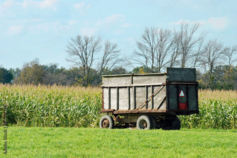 Farm trailer by a corn field Stock Photo | Adobe Stock
