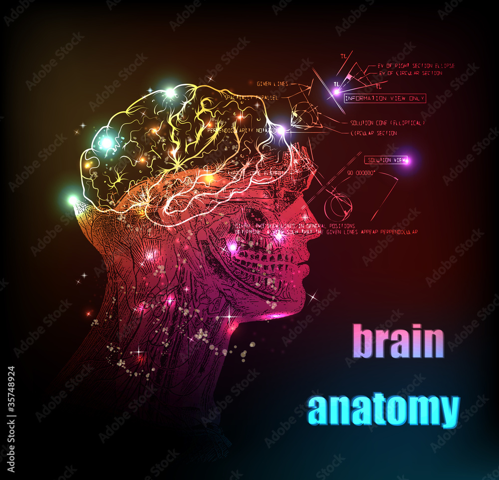 human brain background light design Stock Vector | Adobe Stock