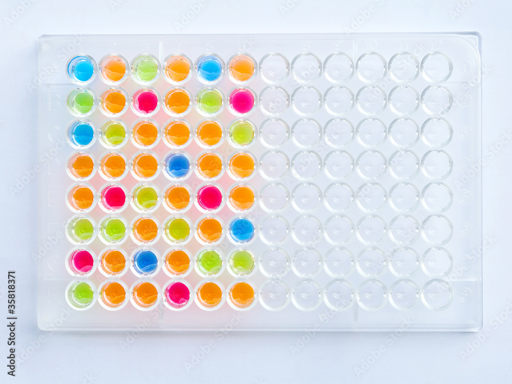 96 well plate with solution Foto Stok | Adobe Stock
