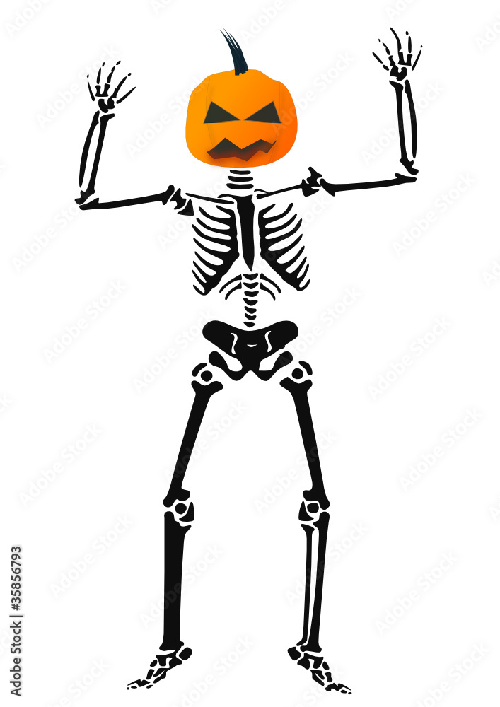 Aspettava Scheletro Clipart