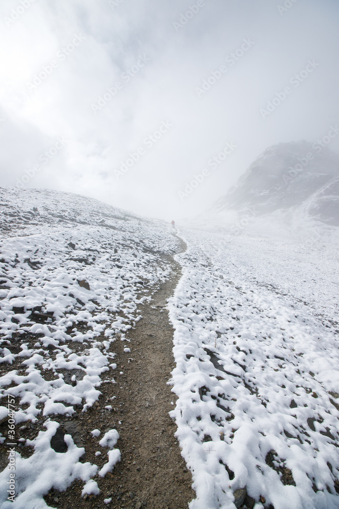 Path in snow mountain Stock 写真 | Adobe Stock