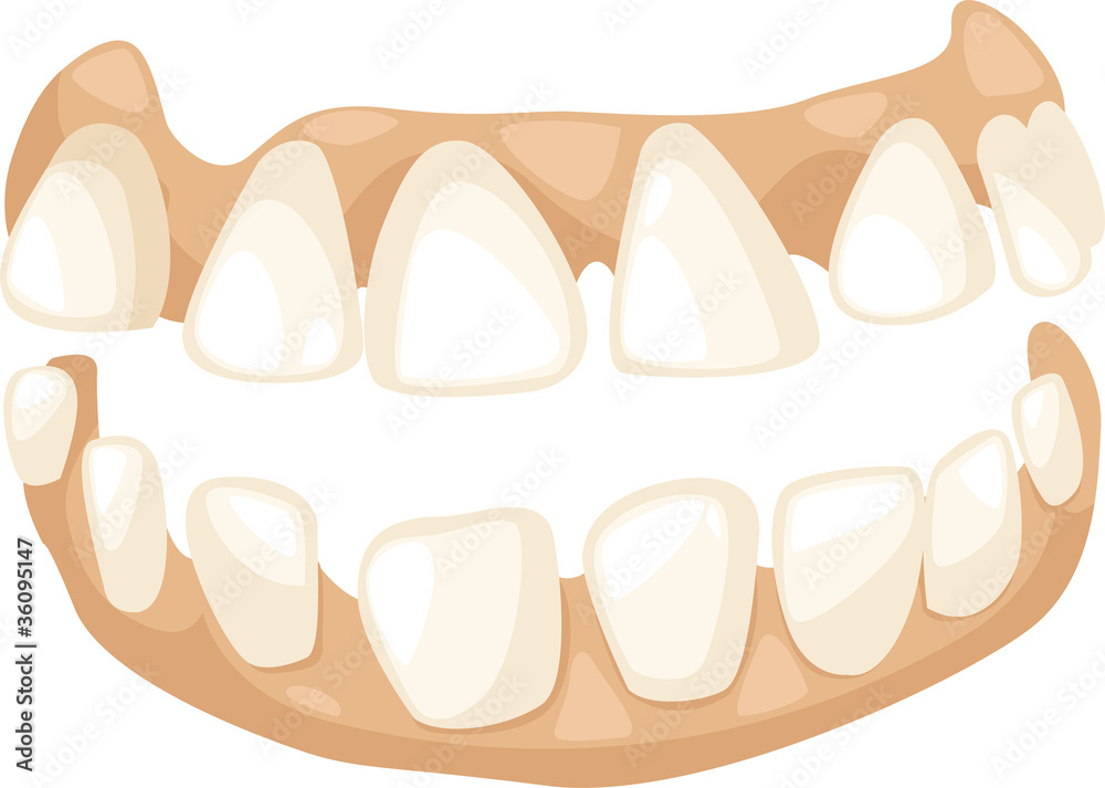 cartoon teeth vector illustration Stock Vector | Adobe Stock
