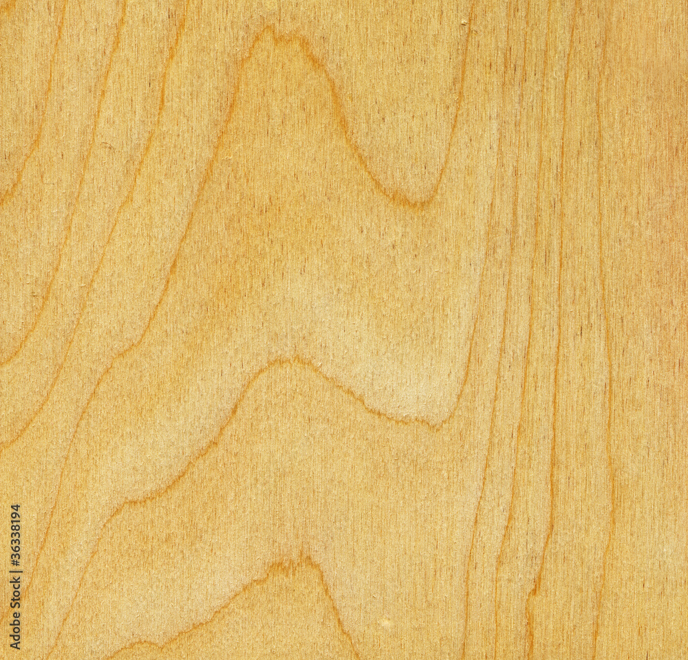 birch wood texture Stock Photo | Adobe Stock