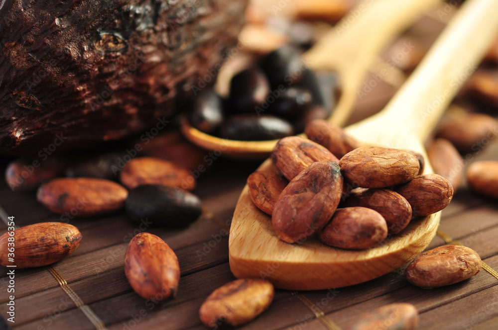 Kakaobohnen Stock Photo | Adobe Stock