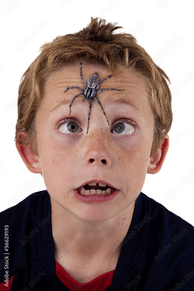 terrified boy with spider on his face Stock Photo | Adobe Stock